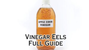 Vinegar Eels: Facts, Benefits, Risks, and Culturing - Eeliad