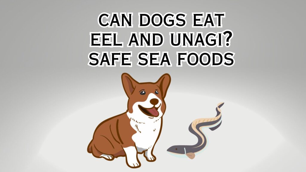 What Do Eels Eat? Eel Diet Guide 101 – Eeliad